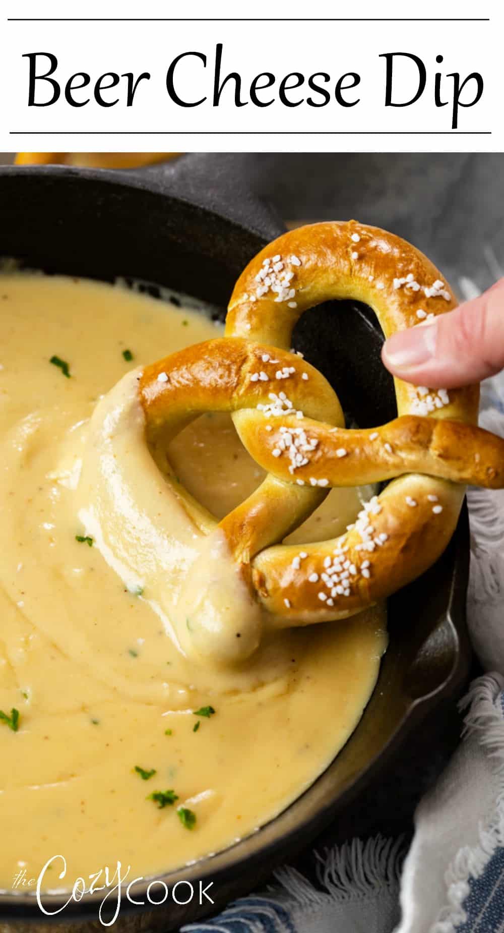 Beer Cheese Dip - The Cozy Cook
