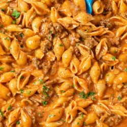 Creamy Beef and Shells - The Cozy Cook