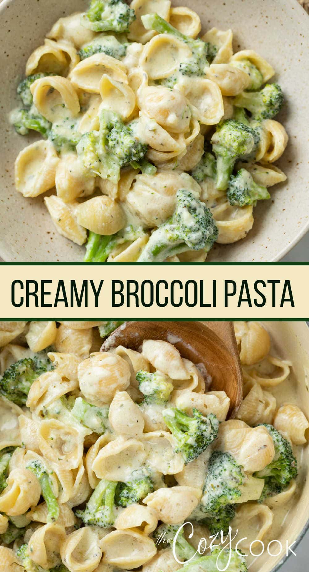 Creamy Broccoli Pasta - One Pot! - The Cozy Cook