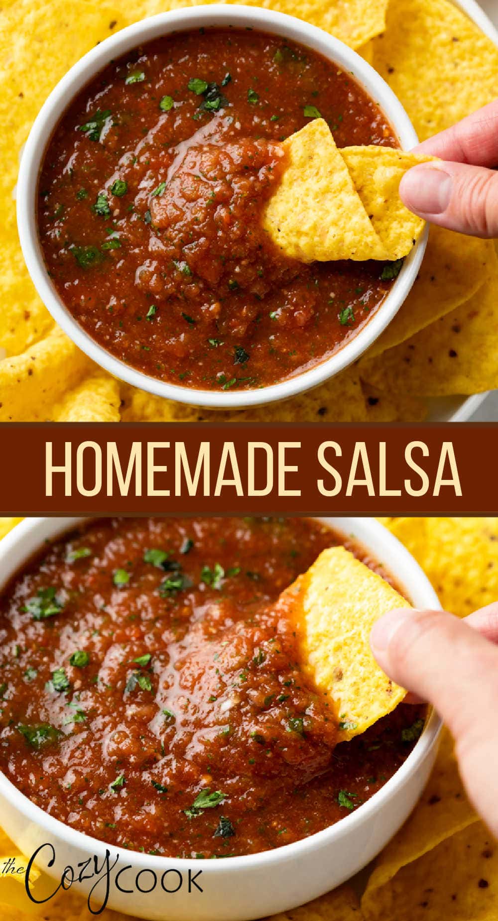 Homemade Salsa - The Cozy Cook