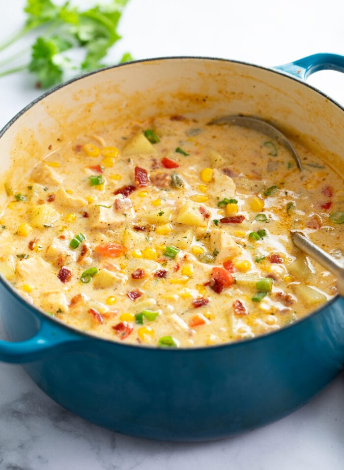 Chicken Corn Chowder - The Cozy Cook