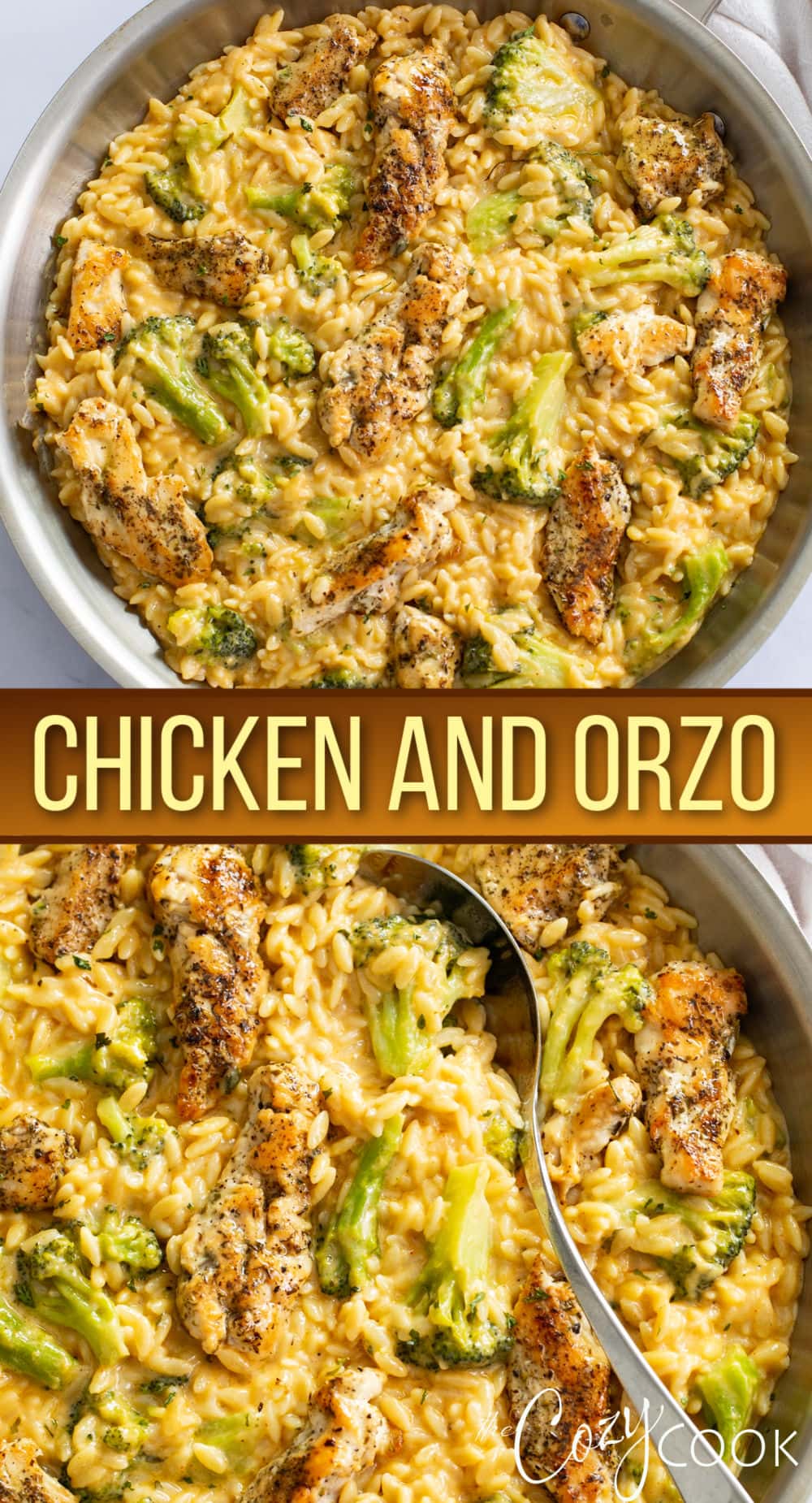 Chicken and Orzo - The Cozy Cook