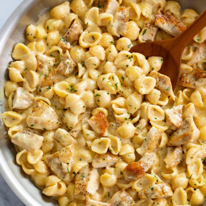 Chicken Mac and Cheese - The Cozy Cook