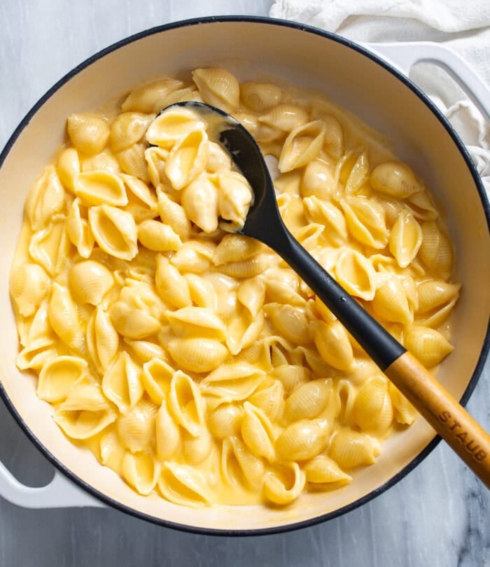 Shells and Cheese - The Cozy Cook