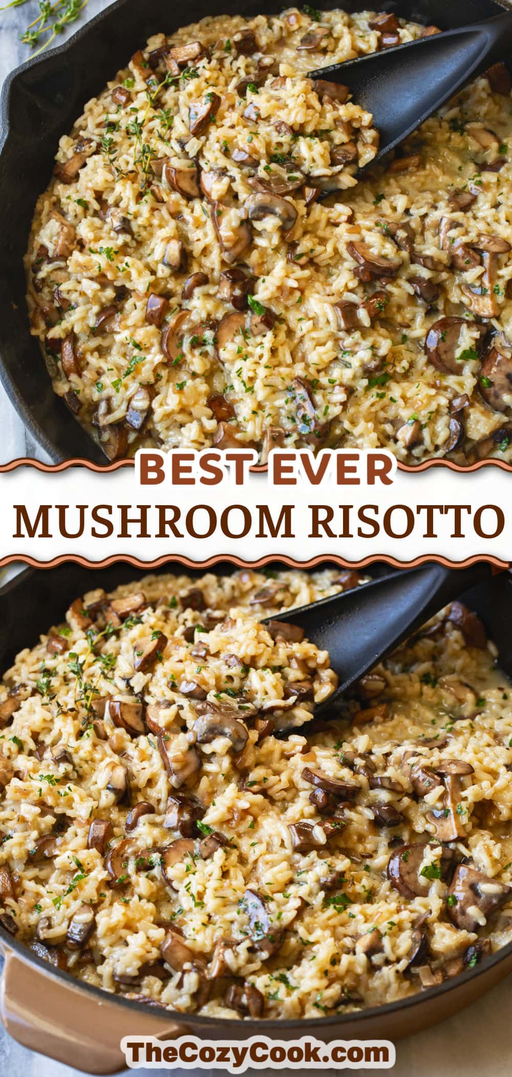 BEST Mushroom Risotto Recipe - The Cozy Cook