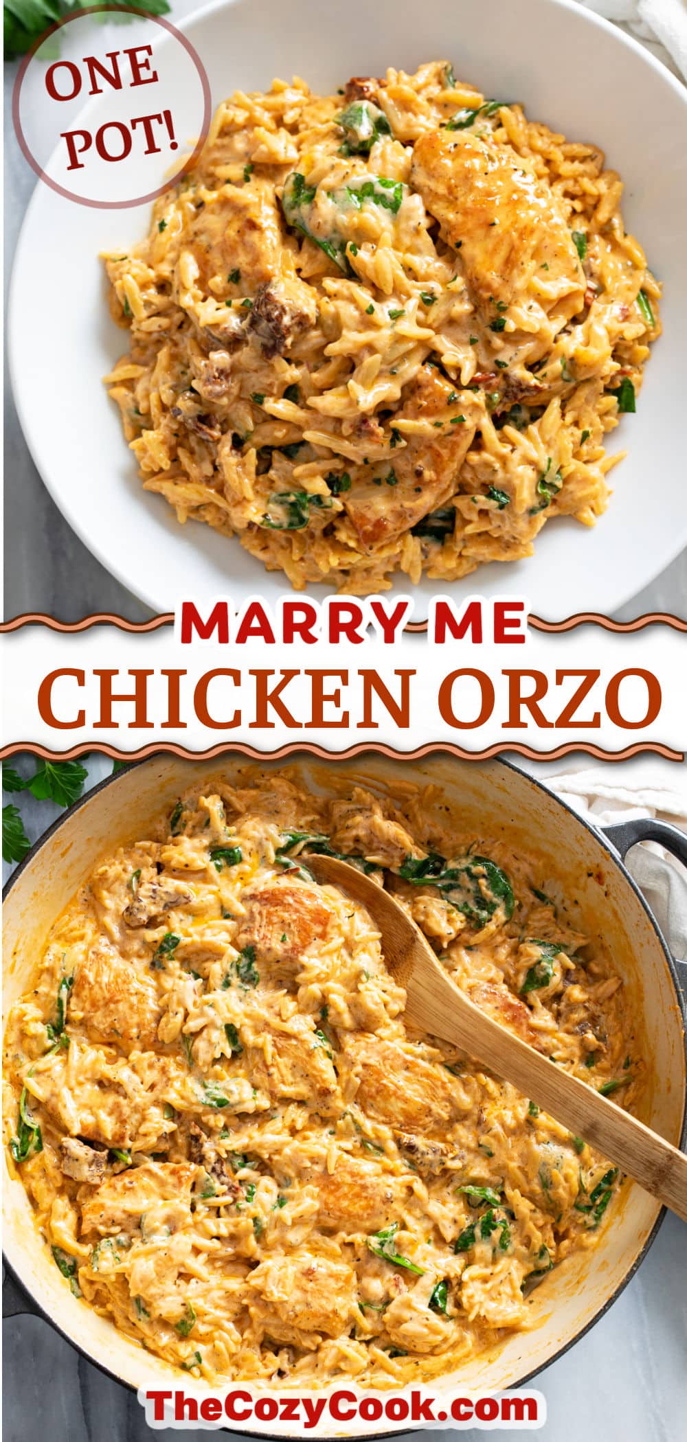 Marry Me Chicken Orzo (One Pot!) - The Cozy Cook